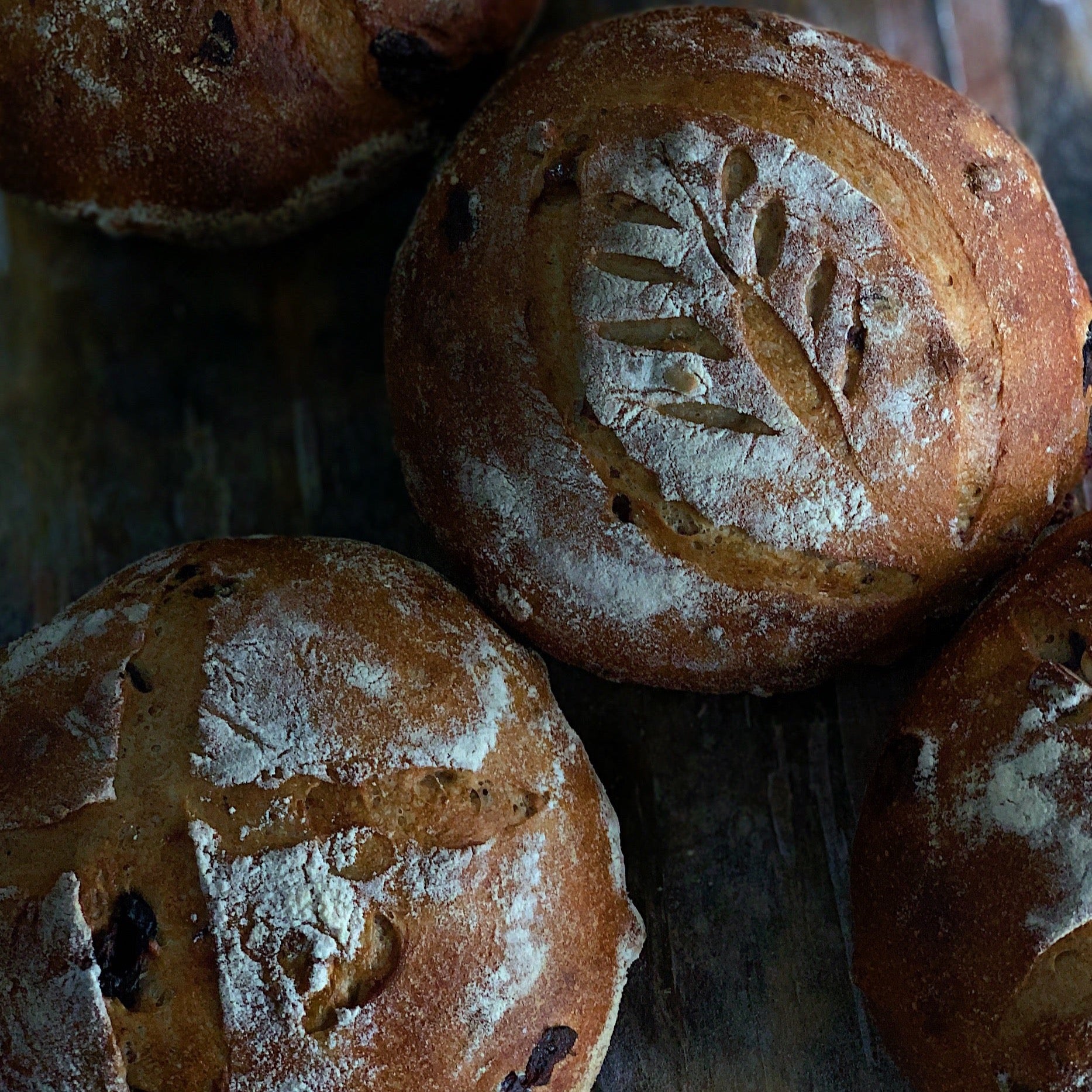 Pan Rústico – Panio Mx